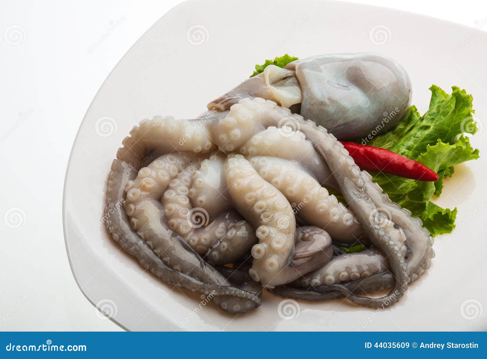 Raw octopus stock image. Image of isolated, market, marine - 44035609