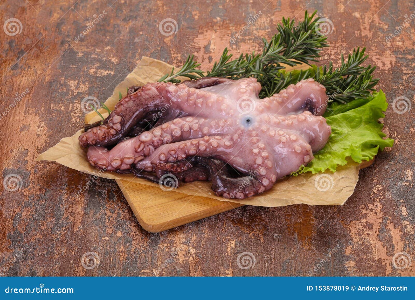 Raw Octopus Ready for Cooking Stock Image - Image of animal, octopus ...
