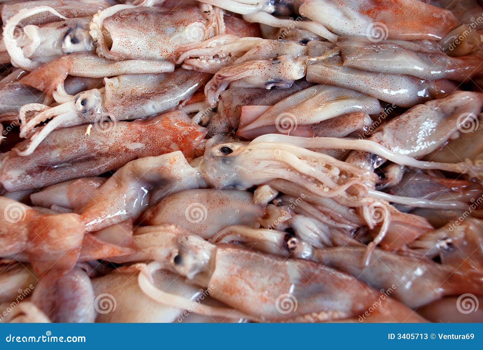 Raw octopuses stock image. Image of fruits, fruit, uncooked - 3405713