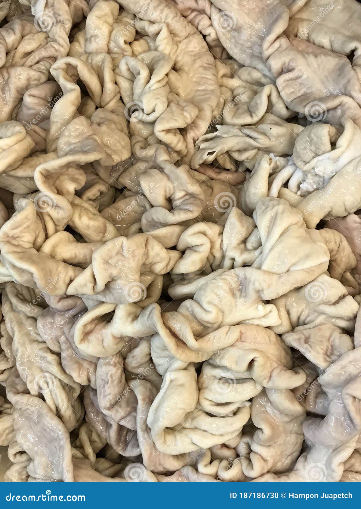Raw of Offal Intestines / Guts Organ Pattern Background for Heath and ...
