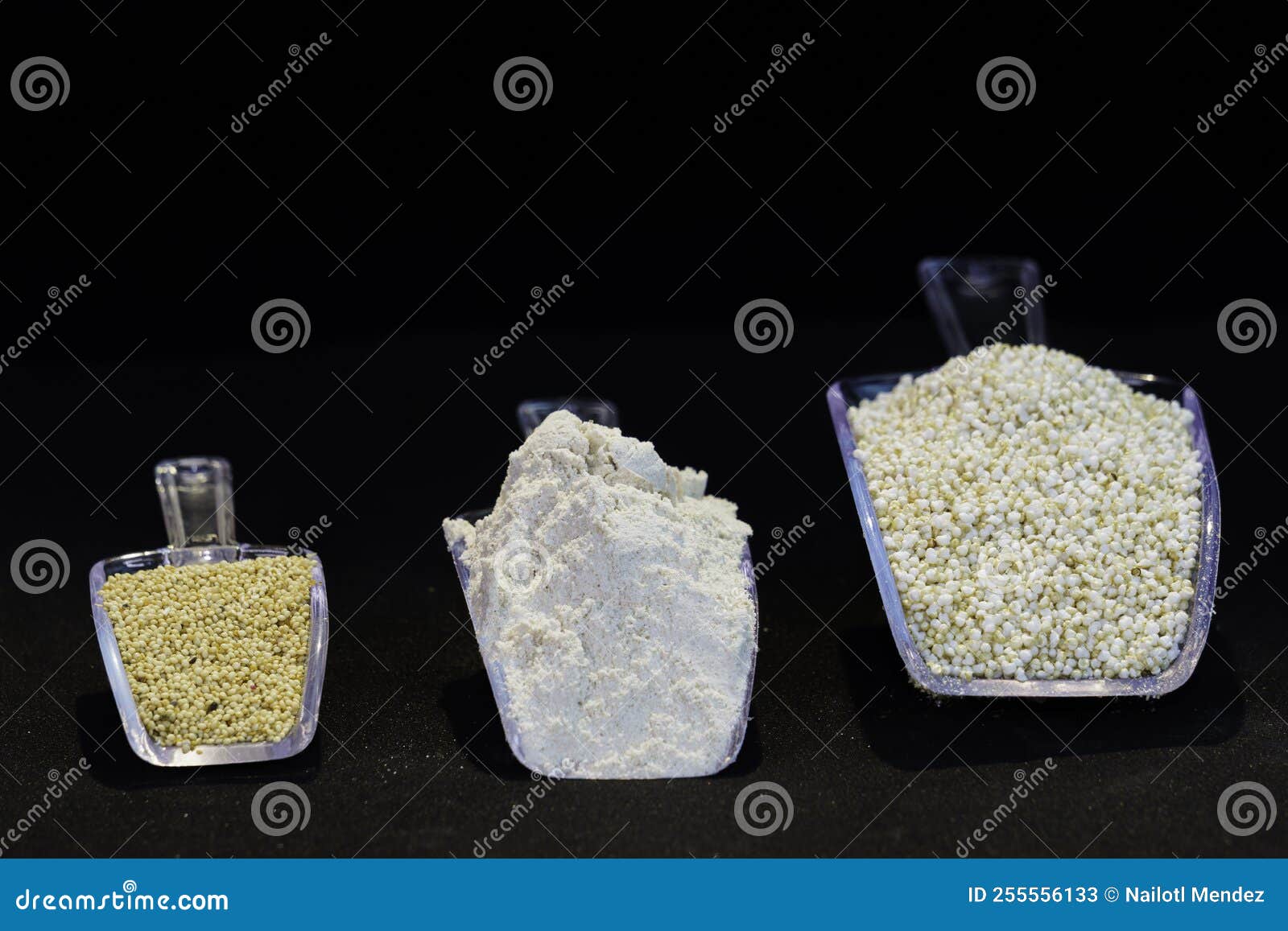 Raw Organic Amaranth Grain and Flour - Amaranth Stock Image - Image of ...