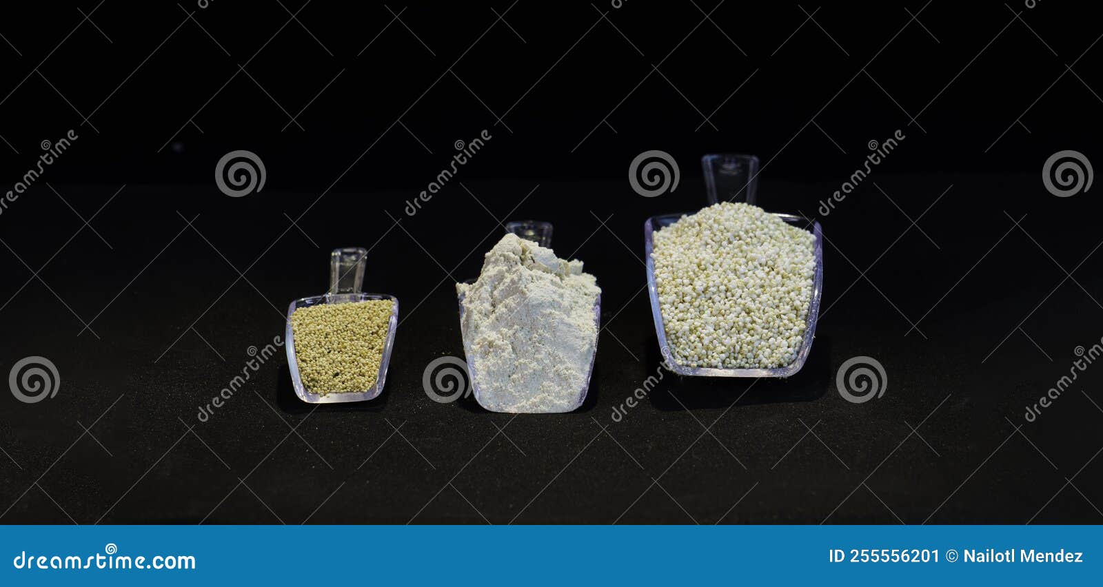 Raw Organic Amaranth Grain and Flour - Amaranth Stock Image - Image of ...