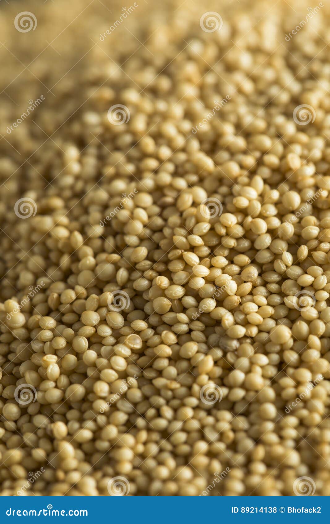 Raw Organic Amaranth Seed stock photo. Image of ingredient - 89214138
