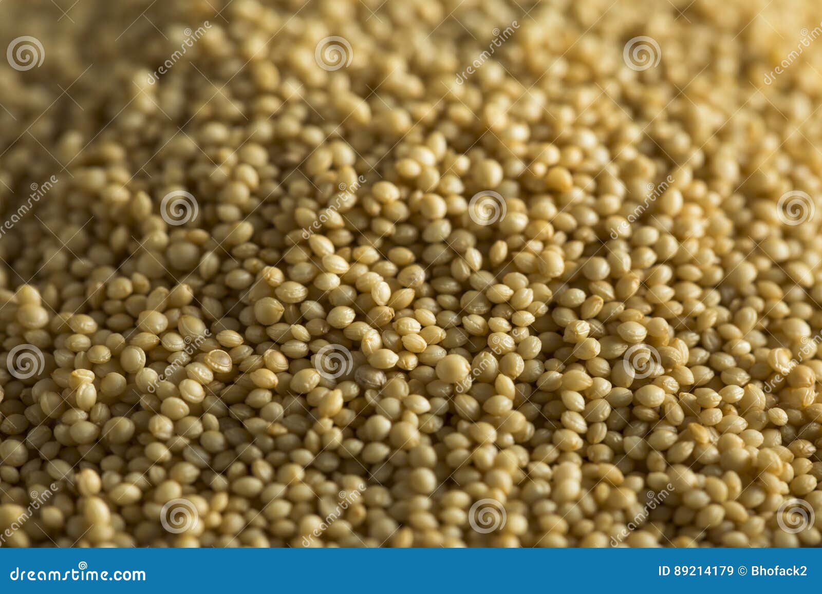 Raw Organic Amaranth Seed stock image. Image of ancient - 89214179