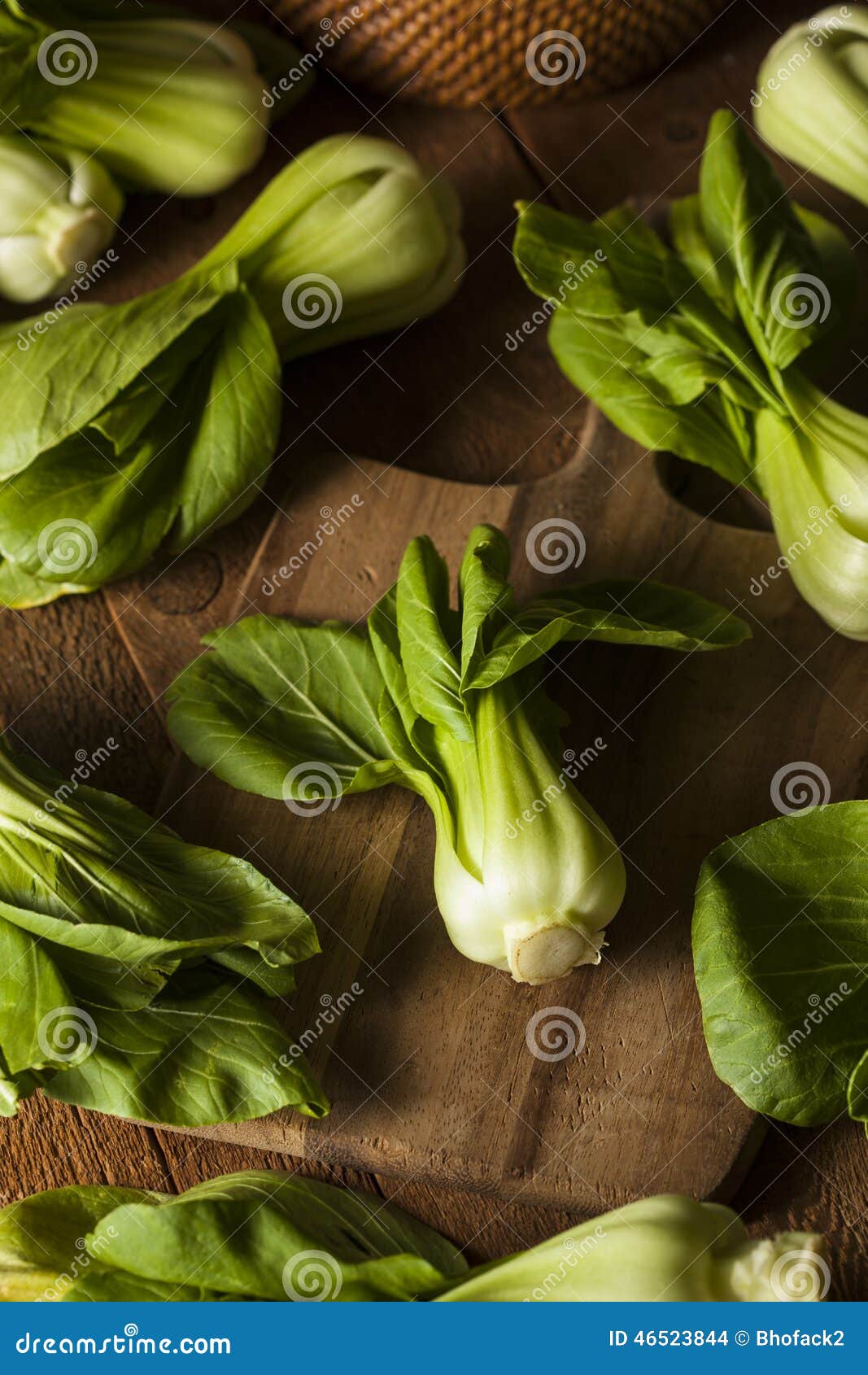 Raw Organic Baby Bok Choy stock photo. Image of nutrition - 46523844