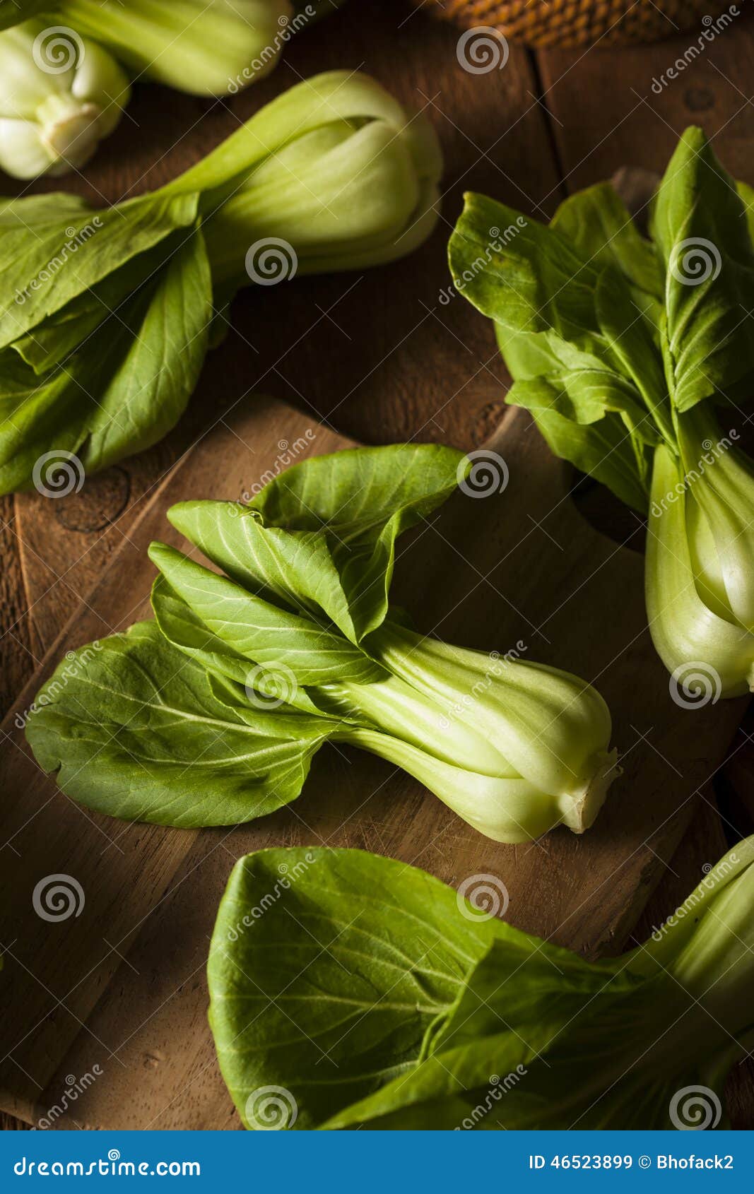 Raw Organic Baby Bok Choy stock image. Image of brassica - 46523899