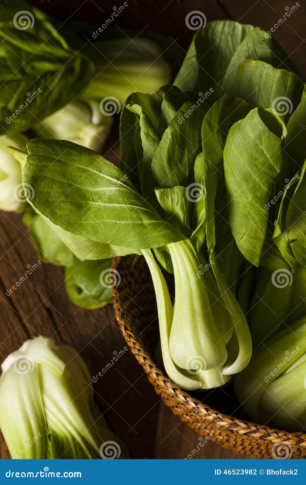 Raw Organic Baby Bok Choy stock photo. Image of vegetable - 46523982