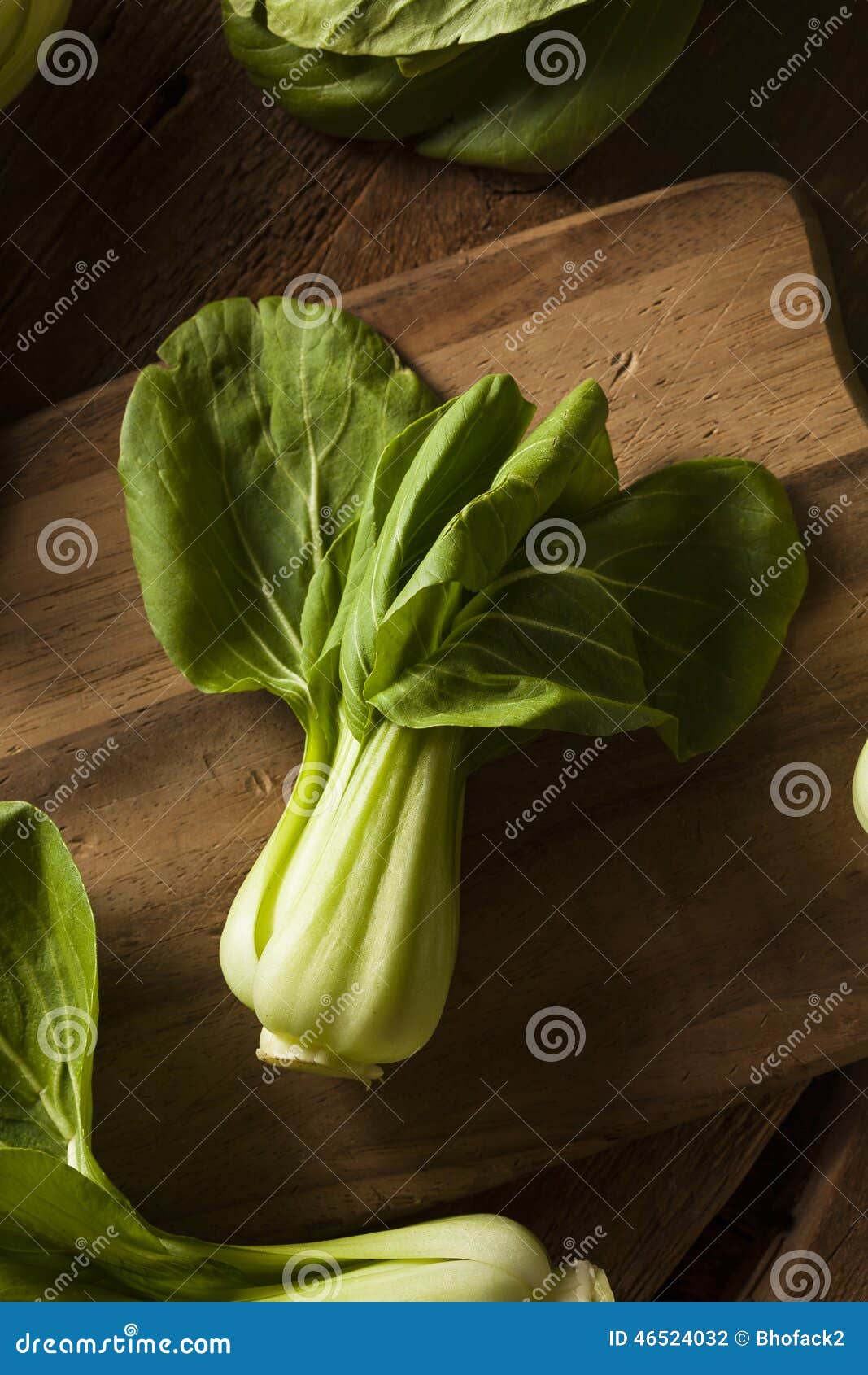 Raw Organic Baby Bok Choy stock photo. Image of plant - 46524032
