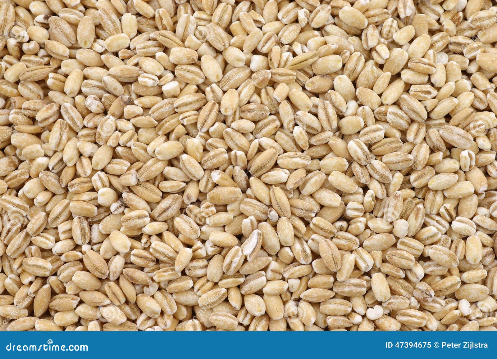Raw organic barley stock image. Image of organic, nature - 47394675