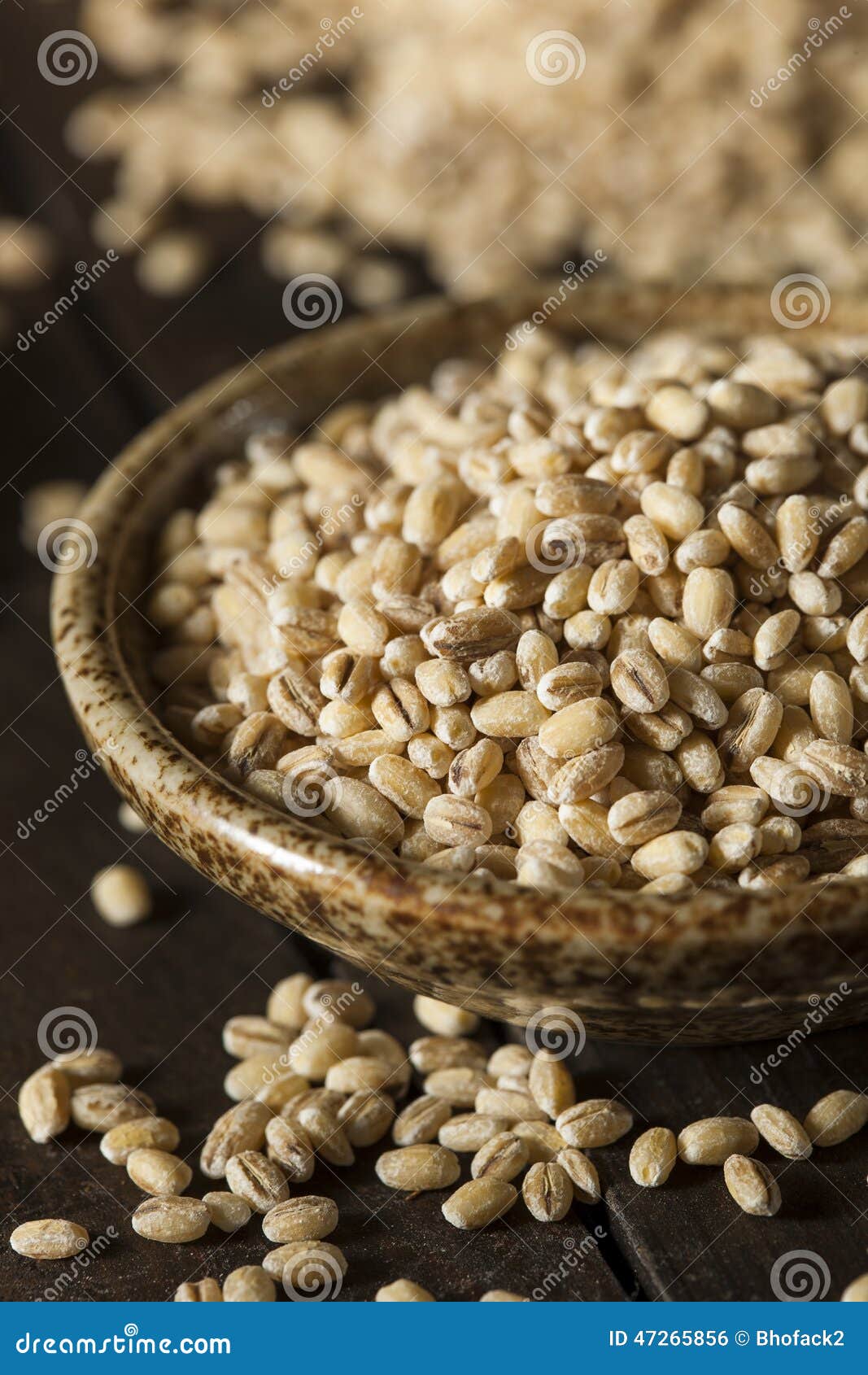 Raw Organic Barley Grain stock photo. Image of nature - 47265856