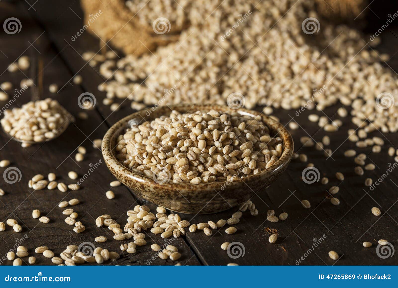 Organic Barley Flakes Isolated On White Circle Background Royalty-Free ...