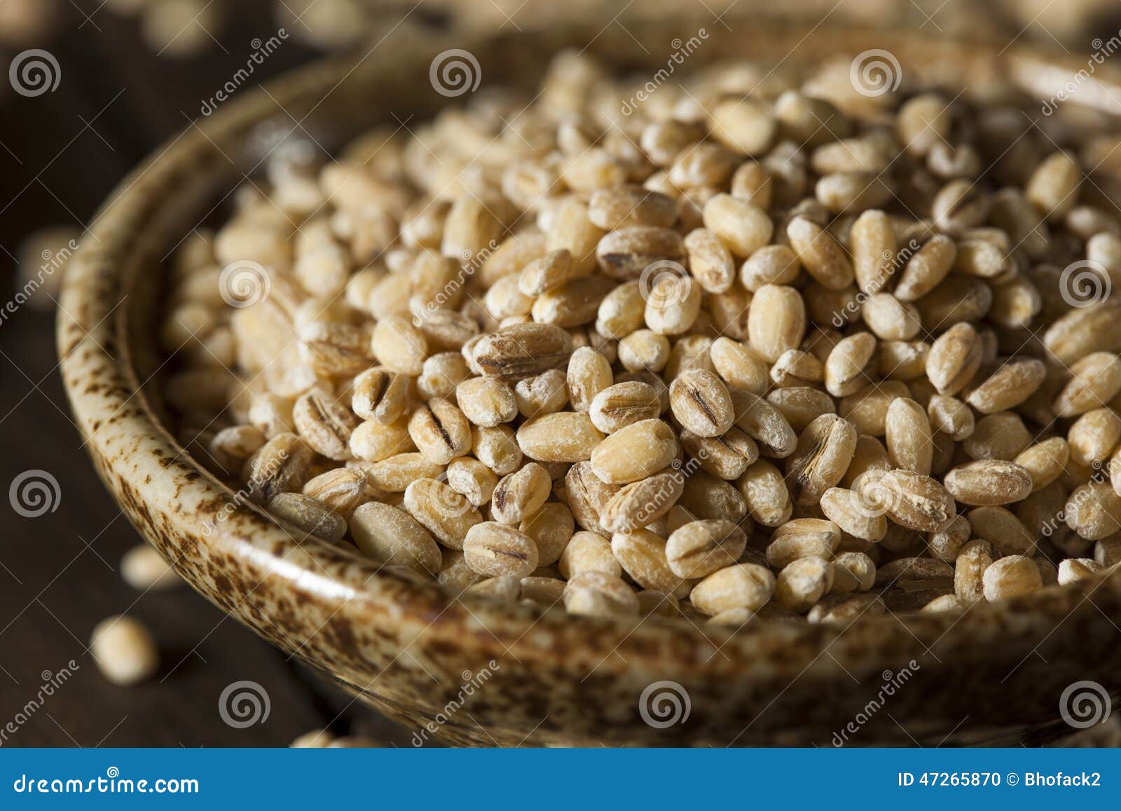 Raw Organic Barley Grain stock photo. Image of nature - 47265870