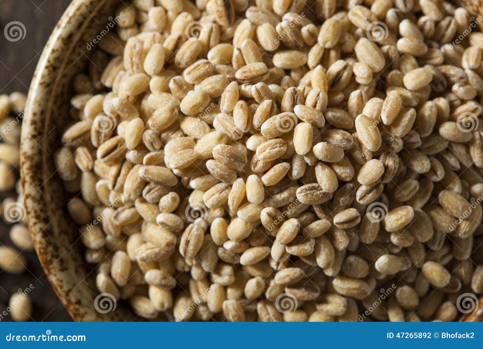 Raw Organic Barley Grain stock photo. Image of brown - 47265892