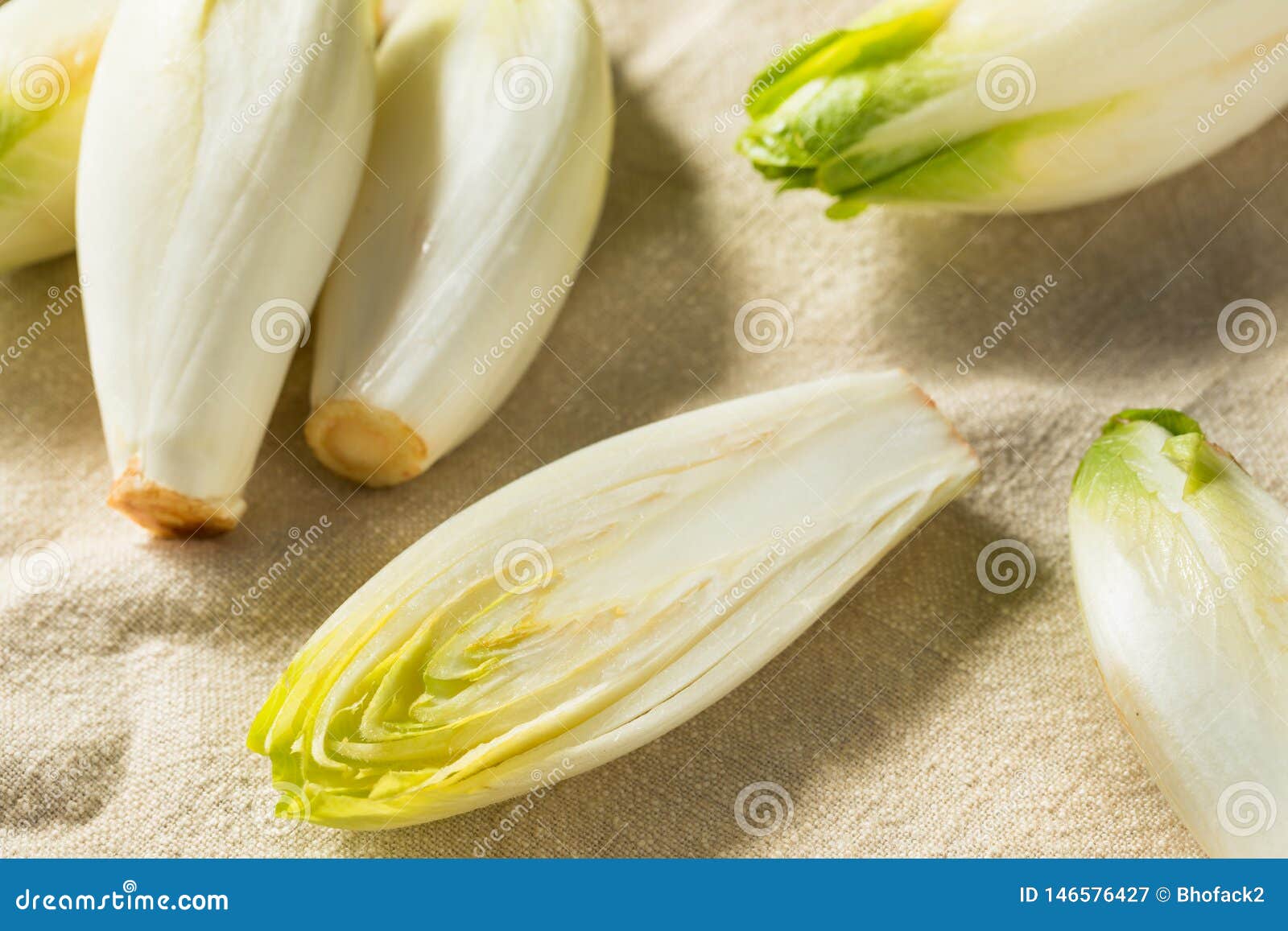 Raw Organic Belgian Endive stock image. Image of antioxidant - 146576427