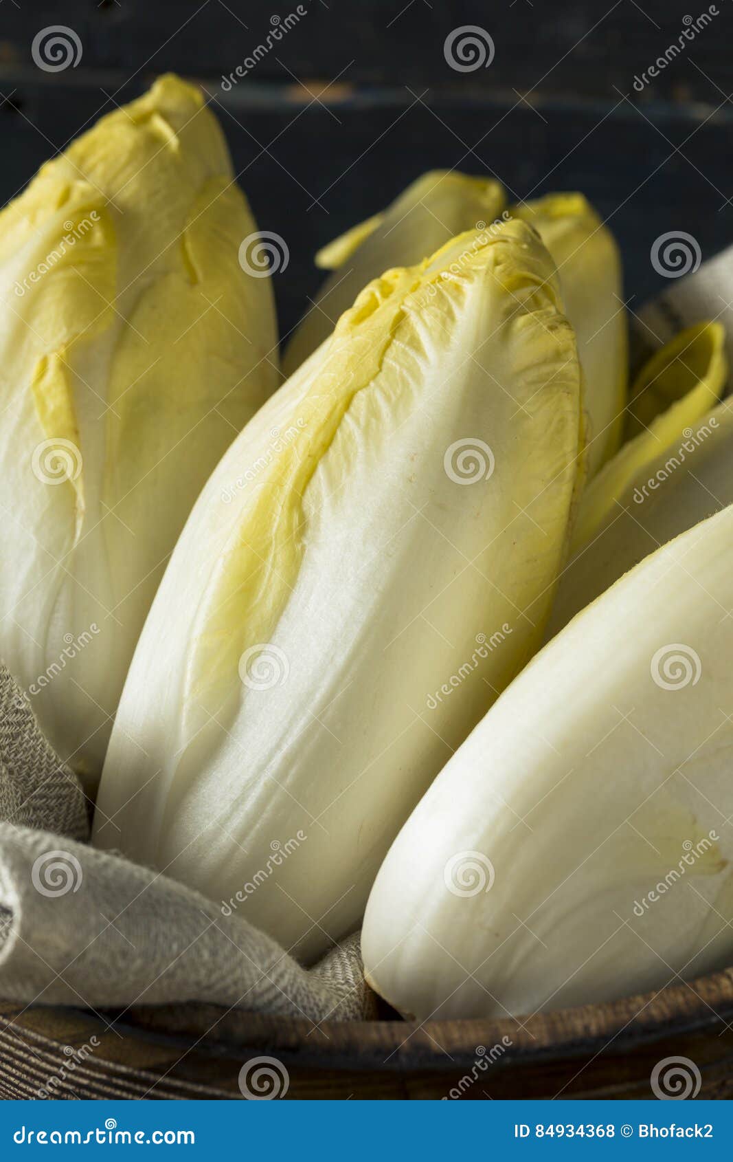 Raw Organic Belgian Endive stock photo. Image of agriculture - 84934368