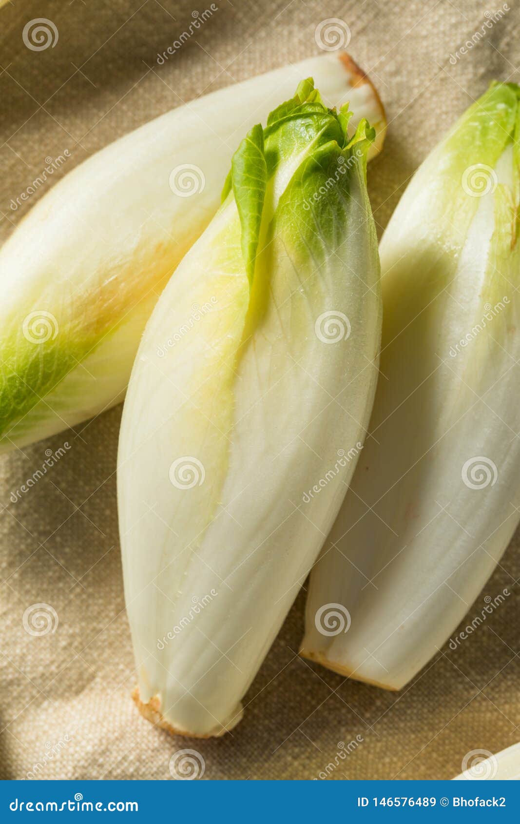 Belgian Endive, Raw Fresh Witloof Chicory Buds, On A Black Background ...