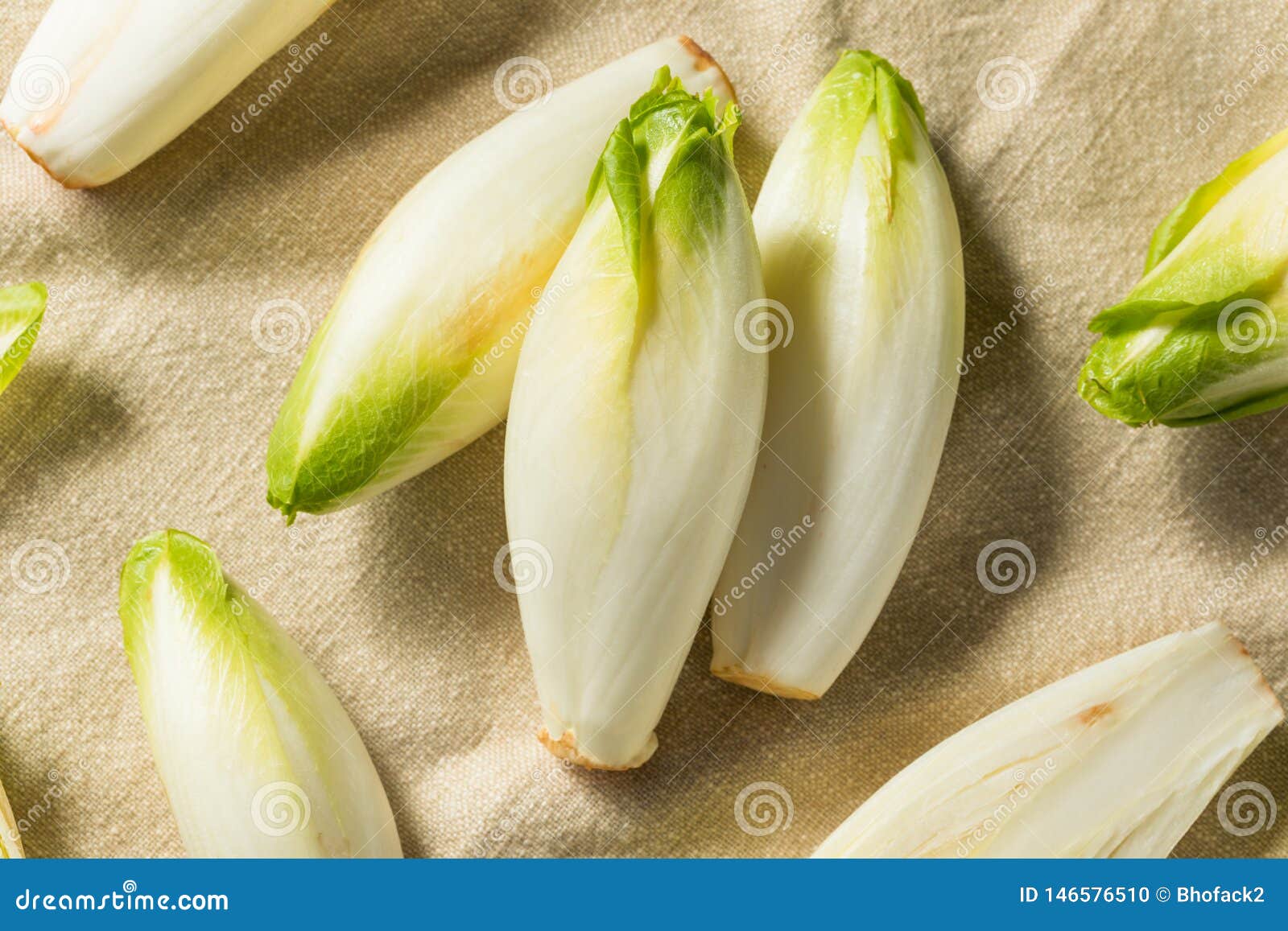 Raw Organic Belgian Endive stock photo. Image of french - 146576510