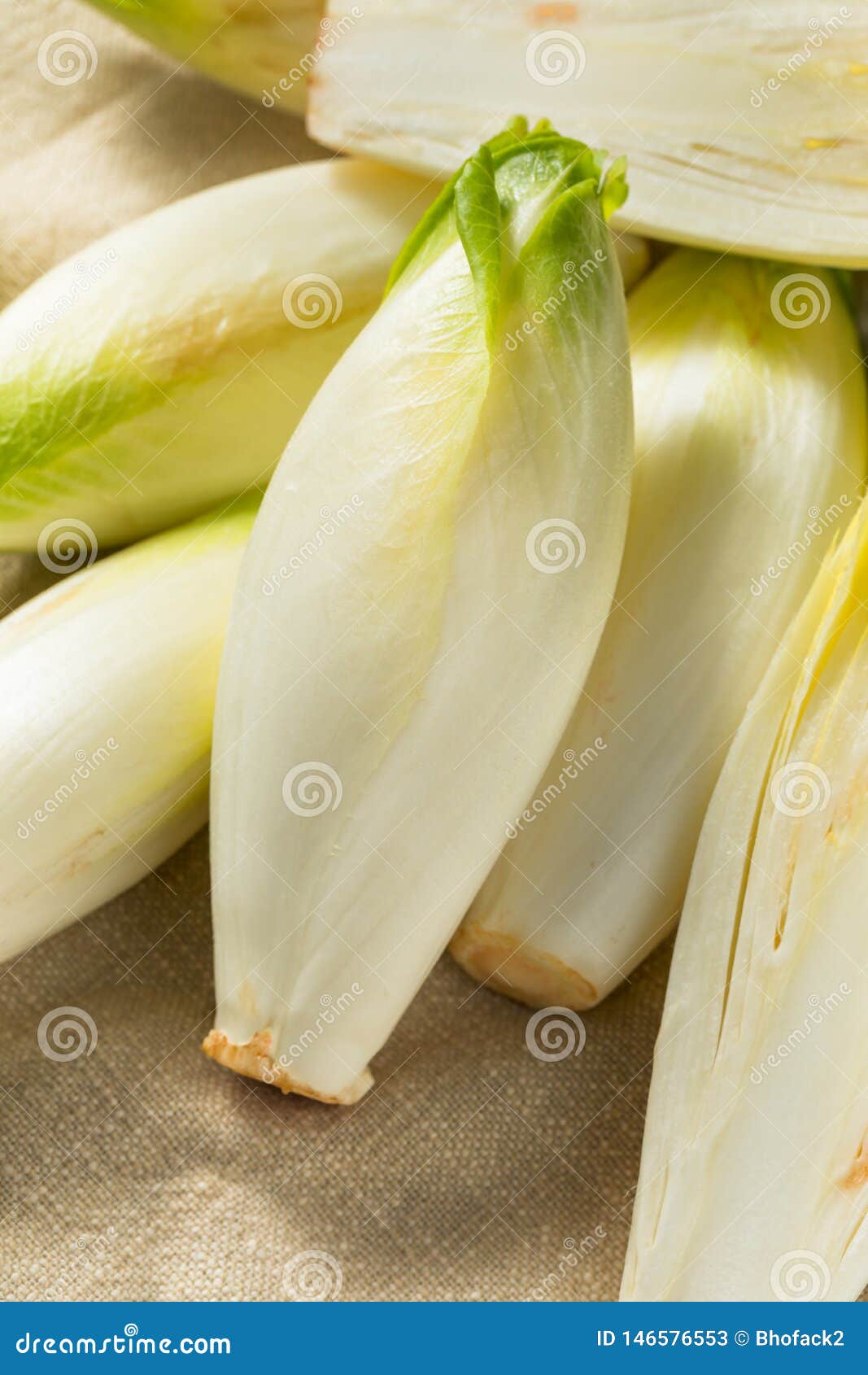 Raw Organic Belgian Endive stock image. Image of delicious - 146576553