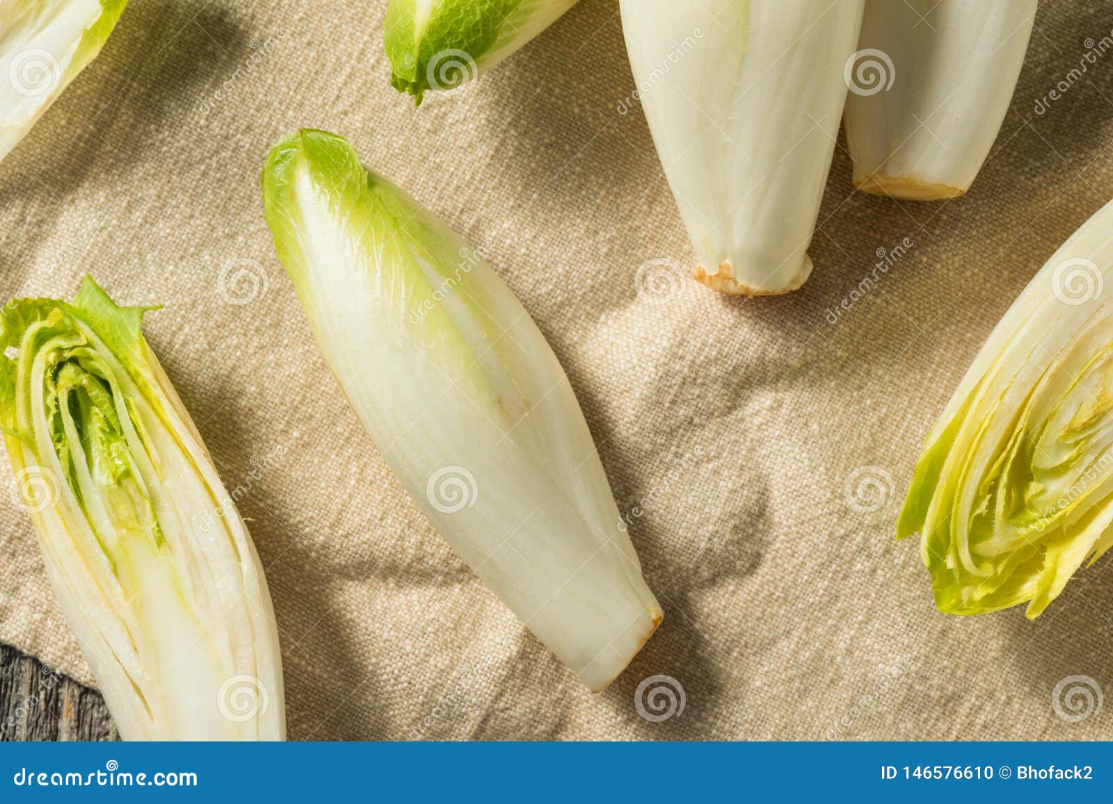 Raw Organic Belgian Endive stock photo. Image of cichorium - 146576610