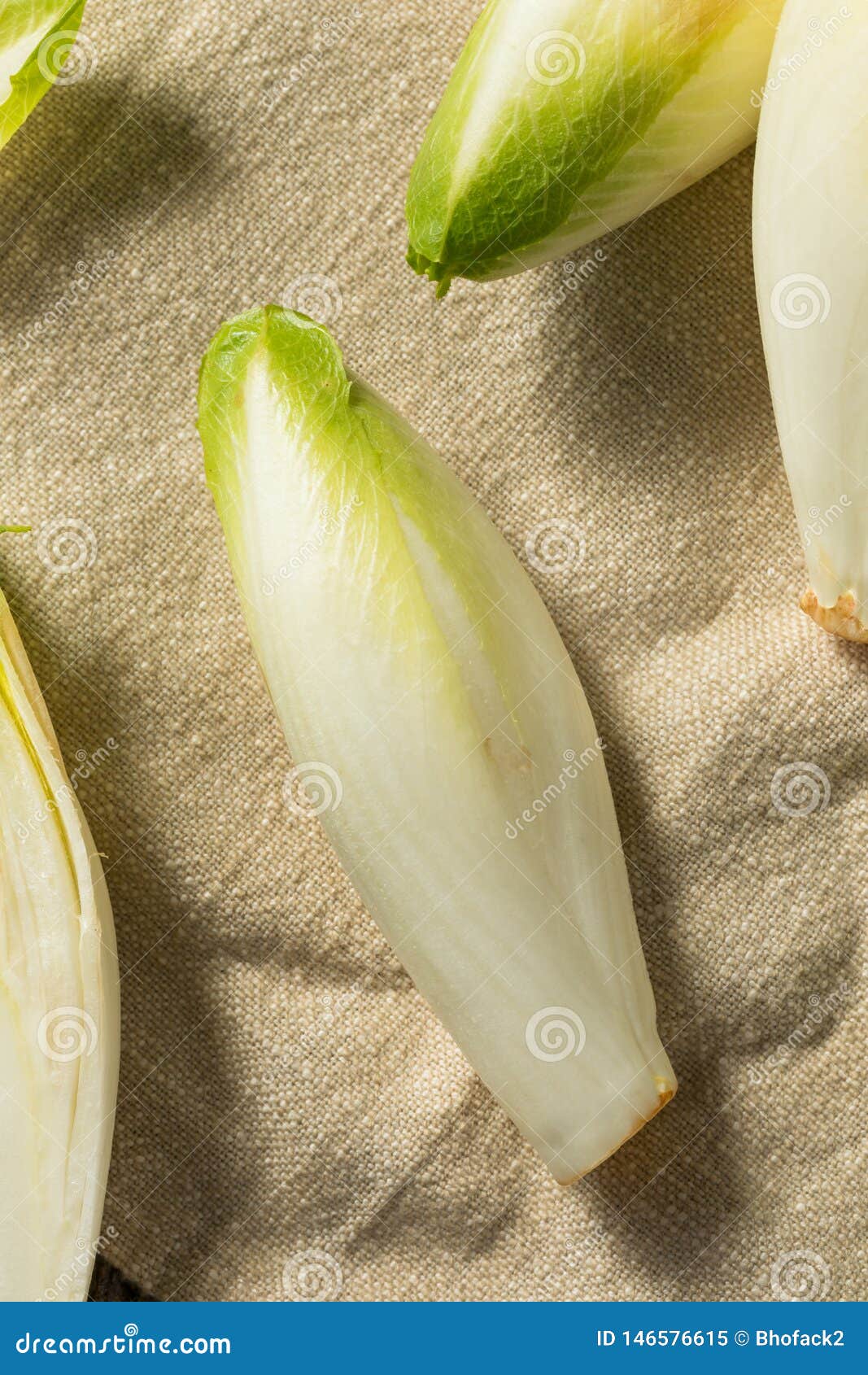 Raw Organic Belgian Endive stock image. Image of plant - 146576615