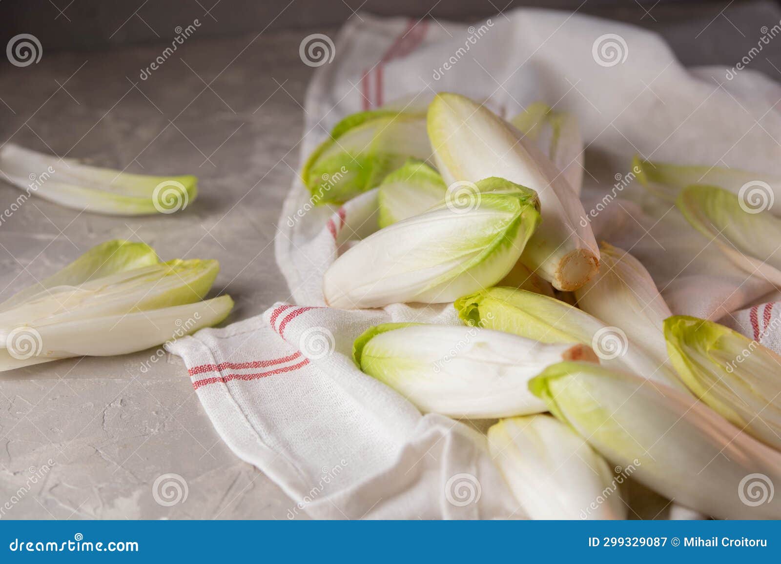 Raw Organic Belgian Endive Ready To Use Stock Image - Image of diet ...