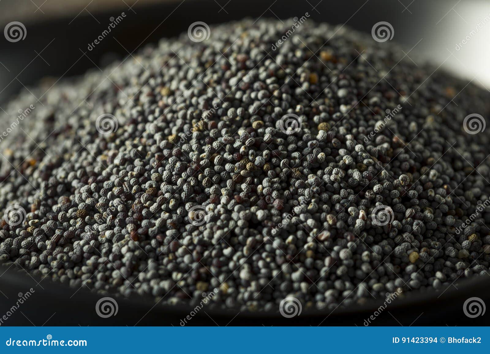 Raw Organic Black Poppy Seeds Stock Photo - Image of black, gourmet ...