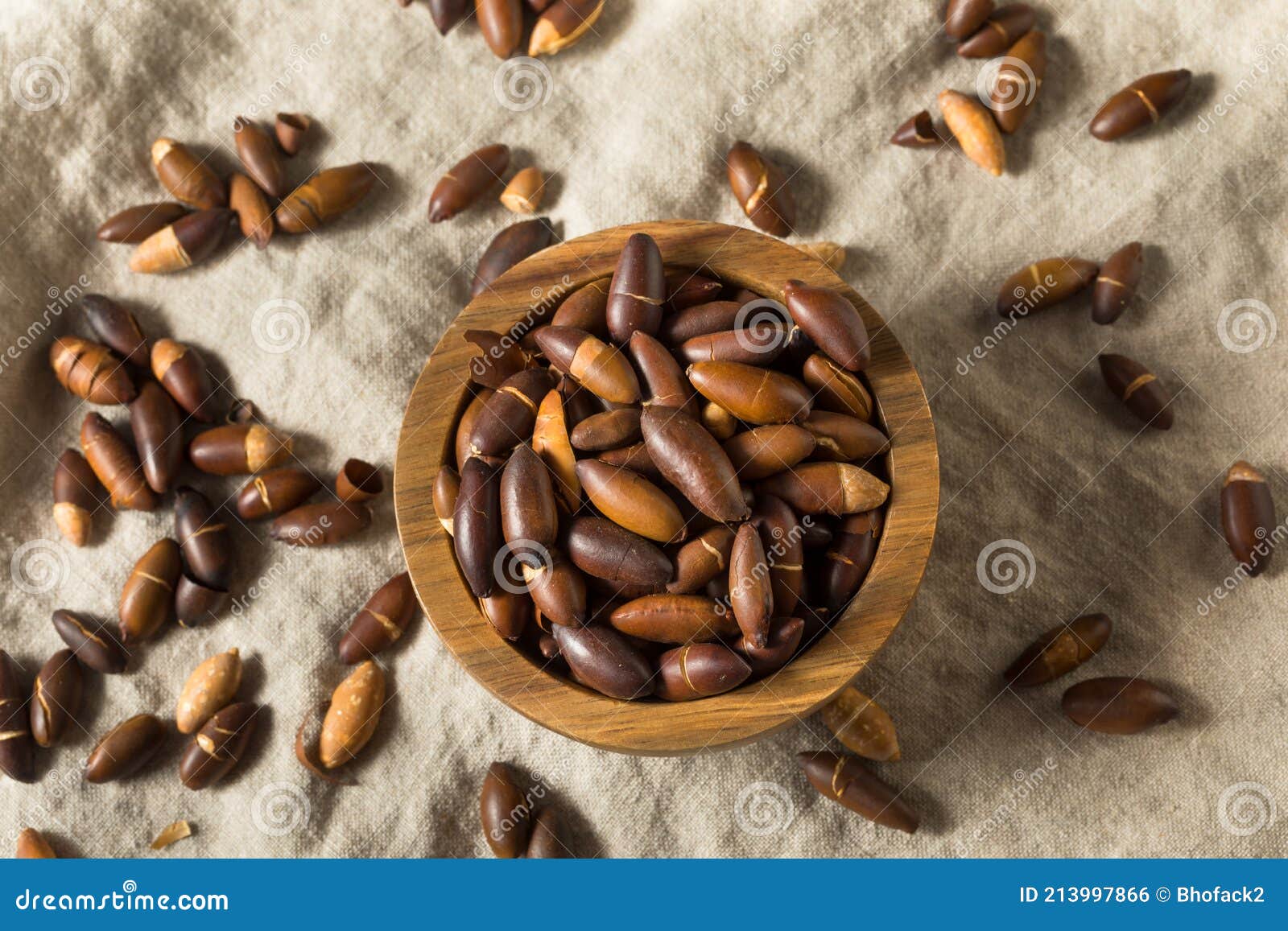 Raw Organic Brown Baru Nuts Stock Photo - Image of brazil, natural ...