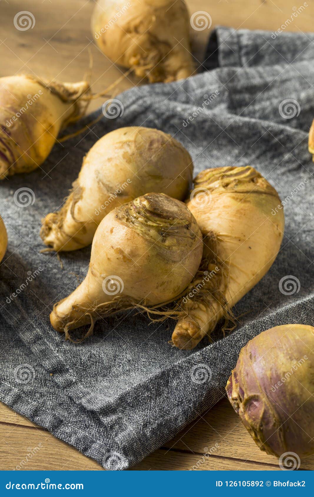 Raw Organic Brown Rutabaga Root Stock Photo - Image of stalk, organic ...