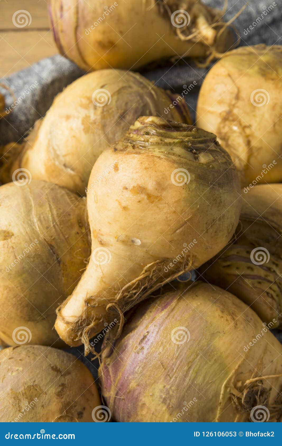 Raw Organic Brown Rutabaga Root Stock Image - Image of napus, stalk ...