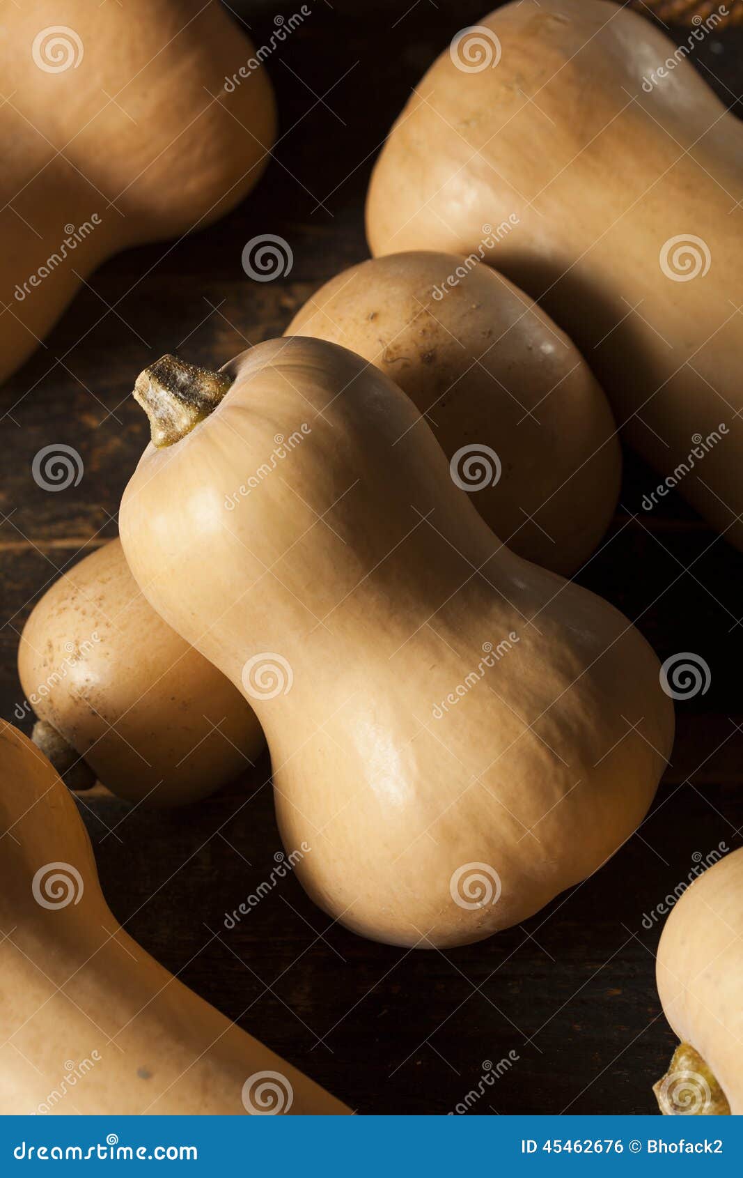Raw Organic Butternut Squash Stock Photo - Image of vegetable, healthy ...