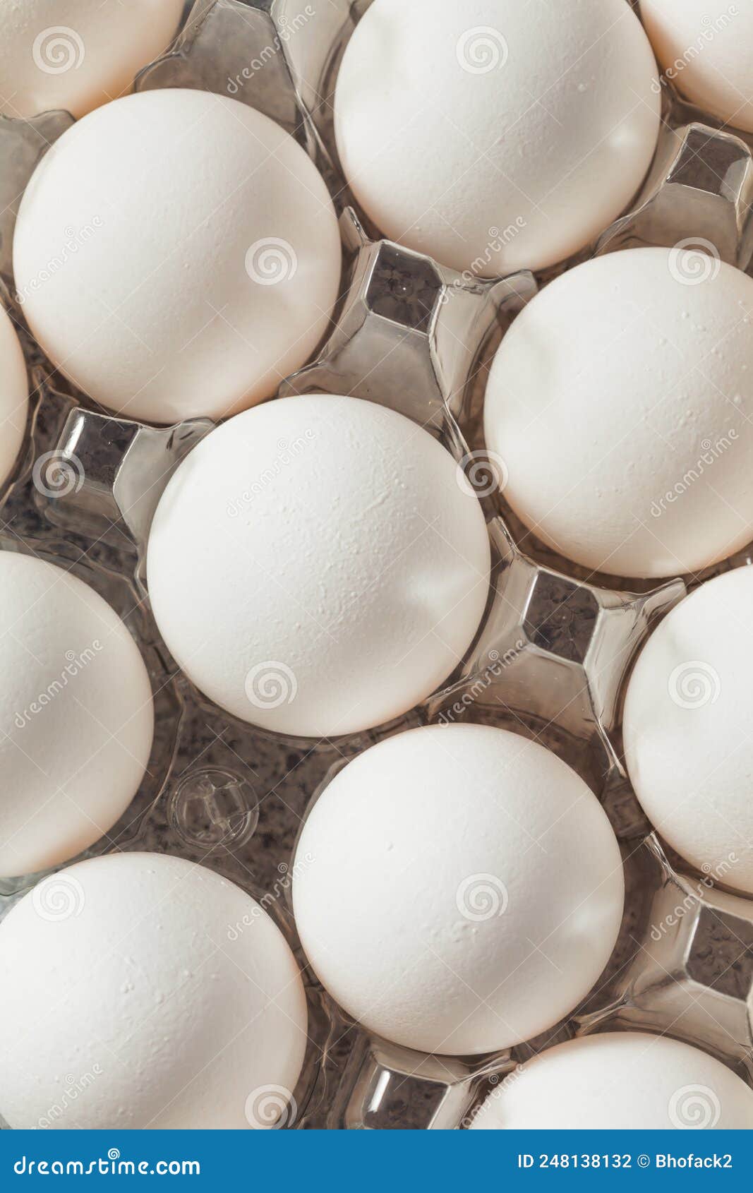 Raw Organic Cage Free White Eggs Stock Photo - Image of shell, organic ...