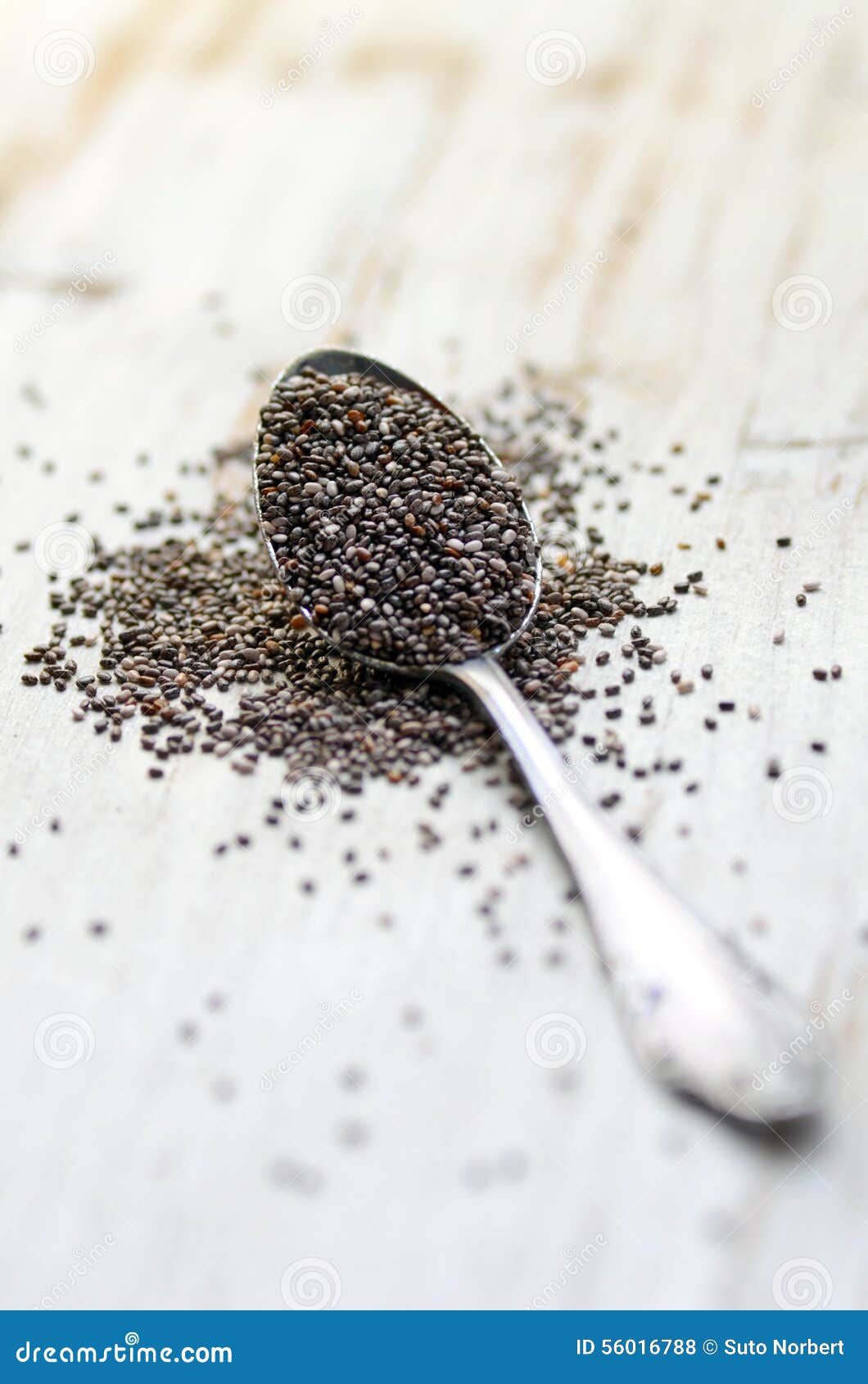 Raw organic chia seeds stock photo. Image of healthy - 56016788