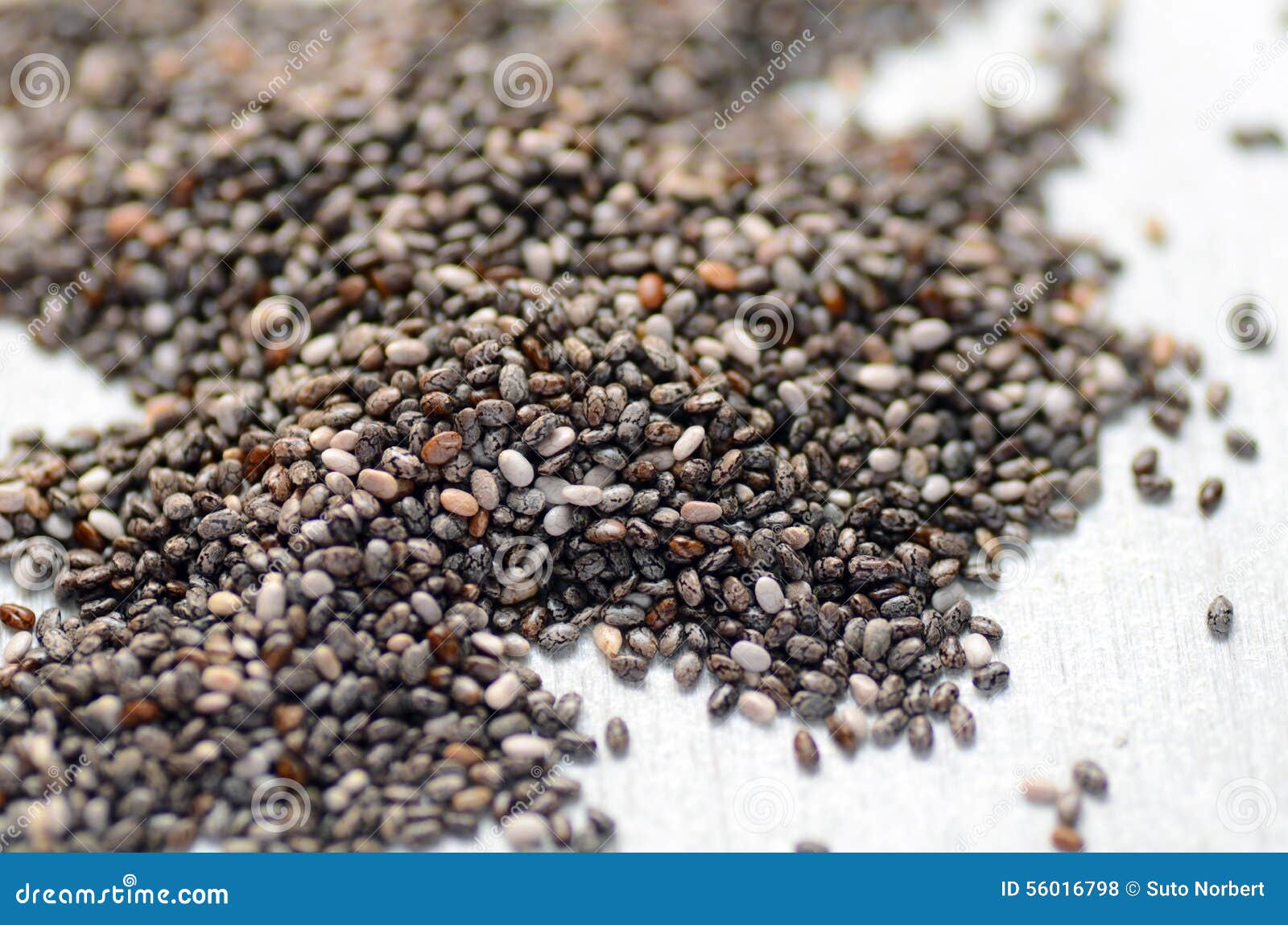 Raw organic chia seeds stock photo. Image of chia, ingredient - 56016798