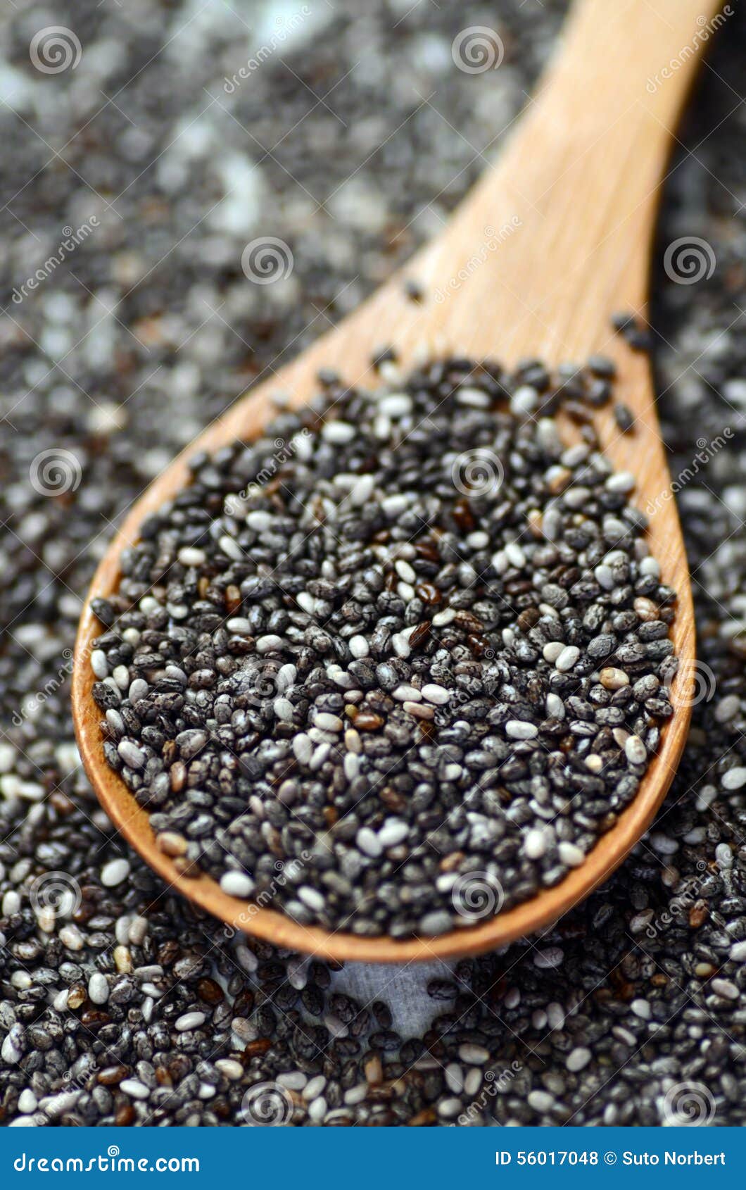 Raw organic chia seeds stock photo. Image of closeup - 56017048