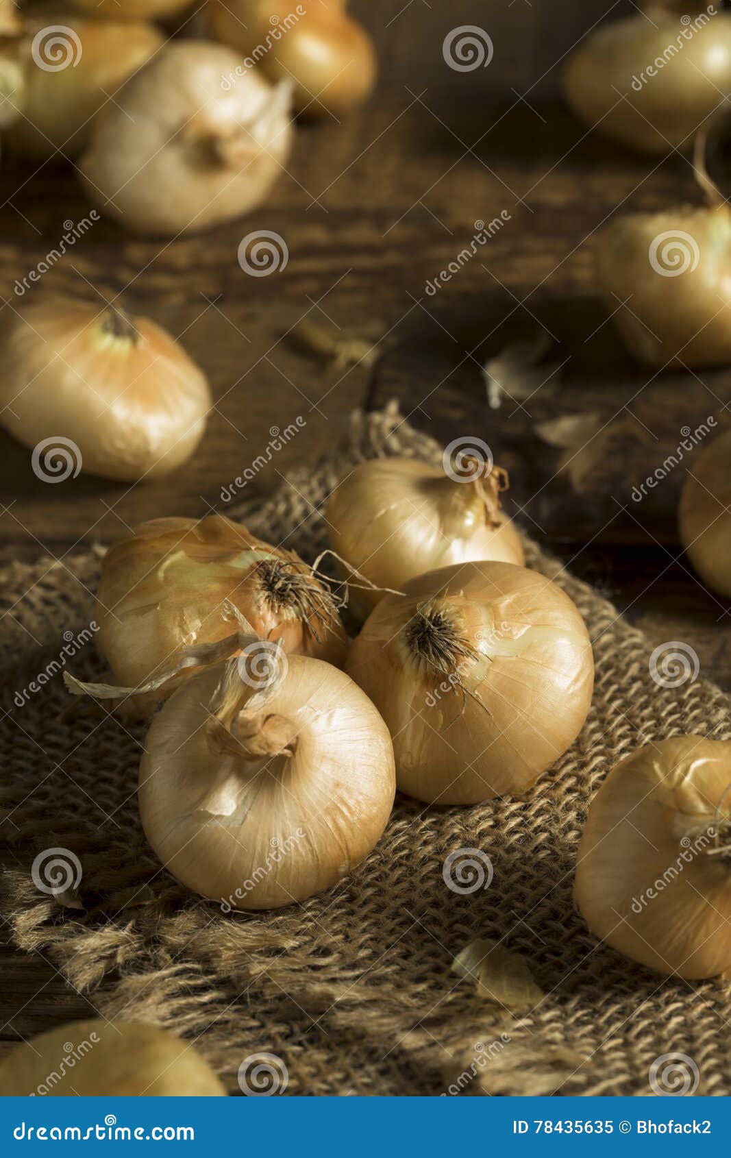 Raw Organic Cipollini Onions Stock Image - Image of food, fresh: 78435635