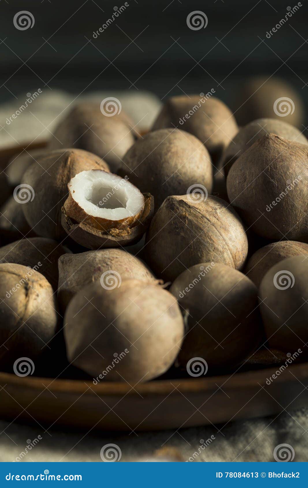 Raw Organic Coconut Coquito Nuts Stock Image - Image of exotic, palm ...