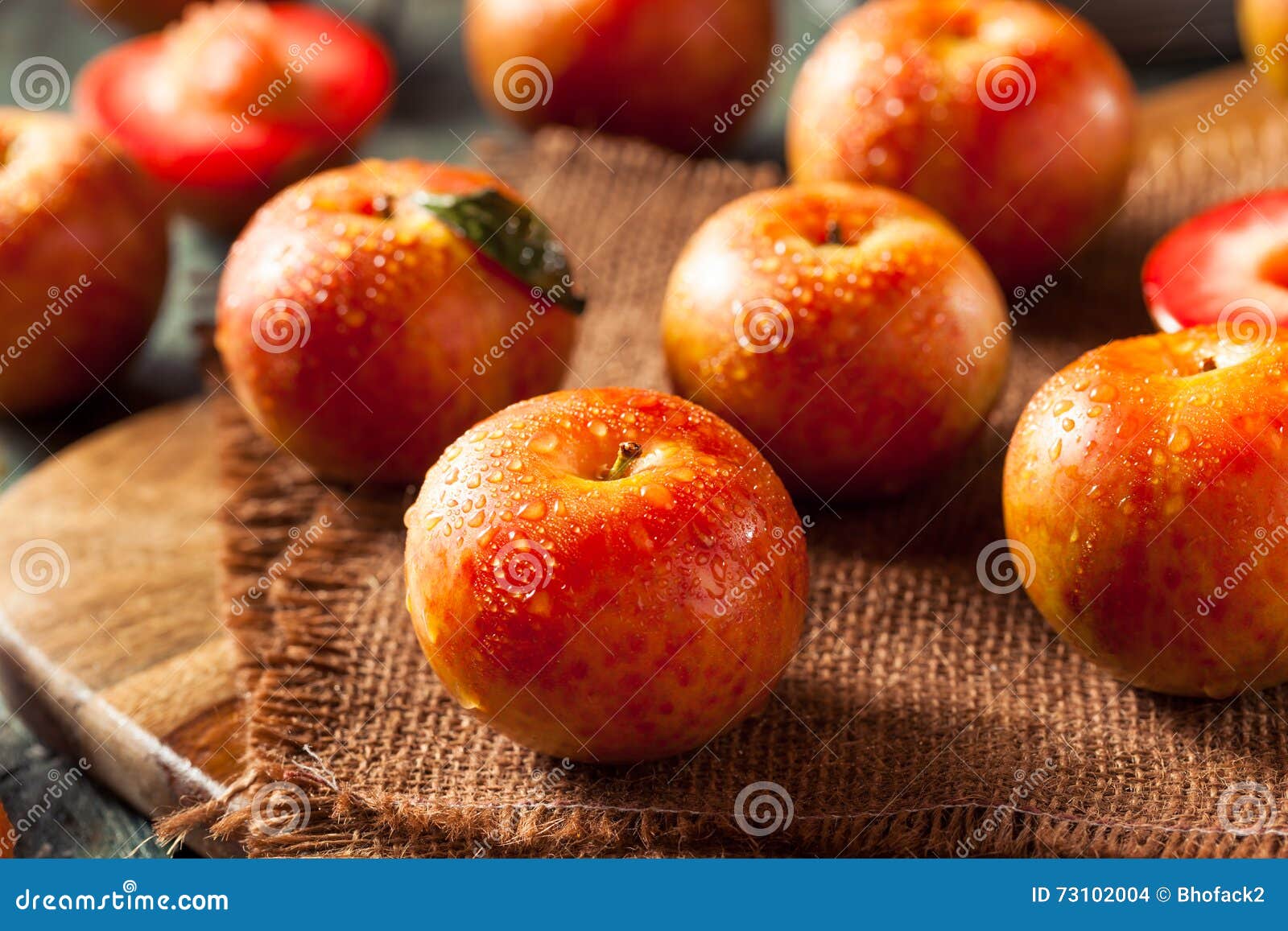 Raw Organic Dinosaur Egg Pluots Stock Photo - Image of healthy, harvest ...