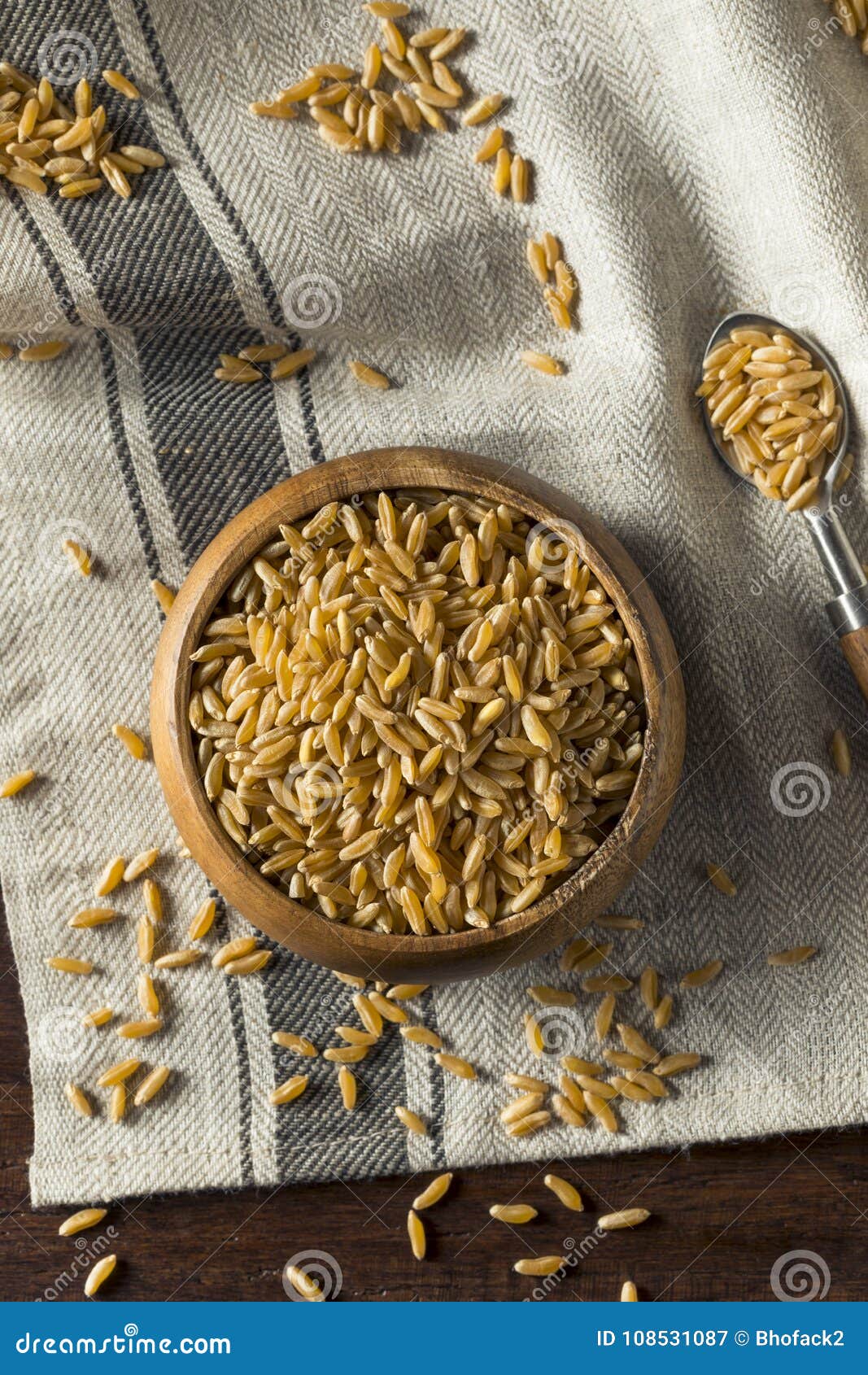 Raw Organic Dry Kamut Berries Grain Stock Image - Image of seeds ...