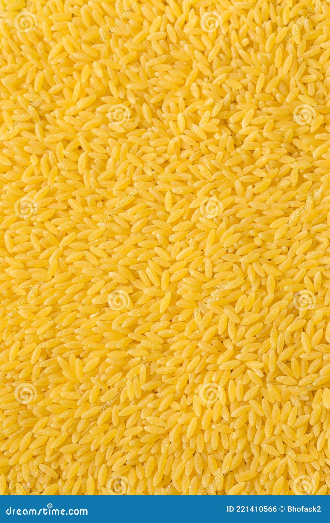 Raw Organic Dry Orzo Pasta stock photo. Image of organic - 221410566