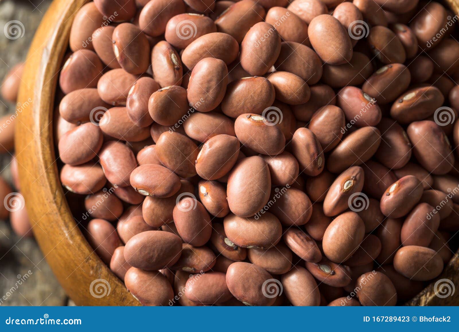 Raw Organic Dry Pink Beans stock image. Image of legume - 167289423