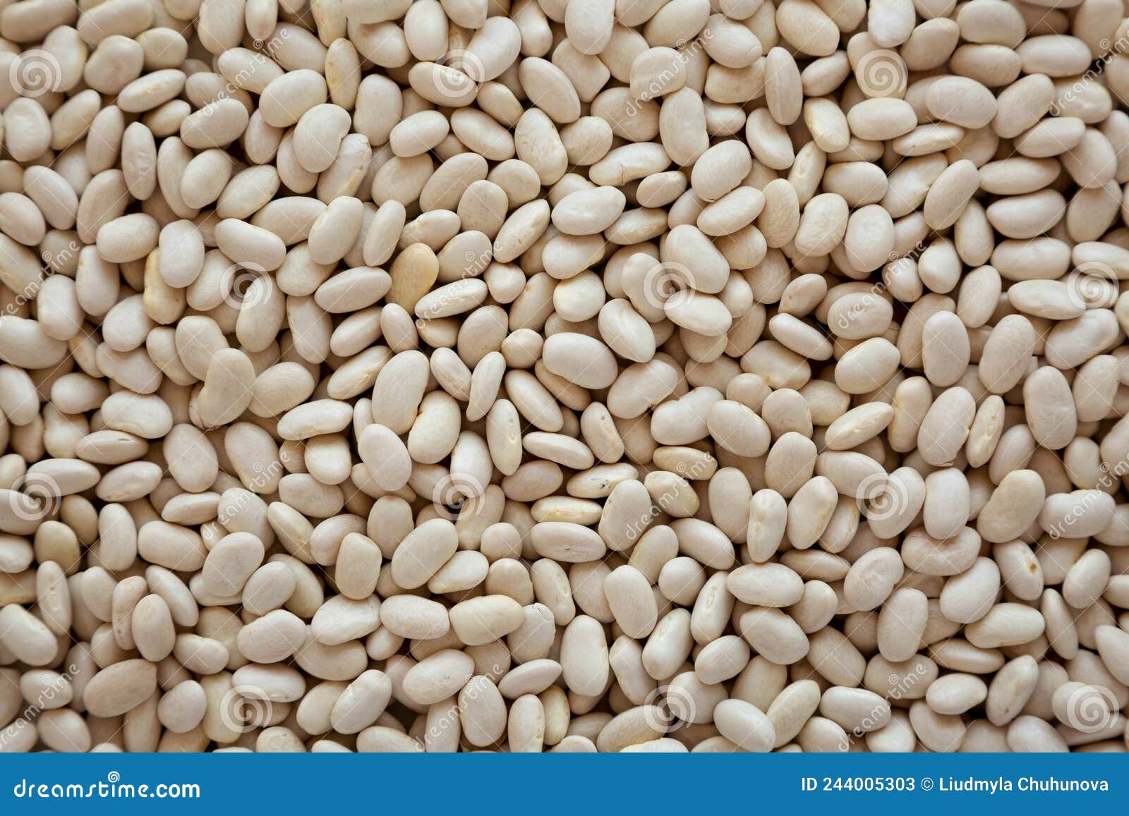 Raw Organic Dry White Beans Background Stock Image - Image of vegetable ...