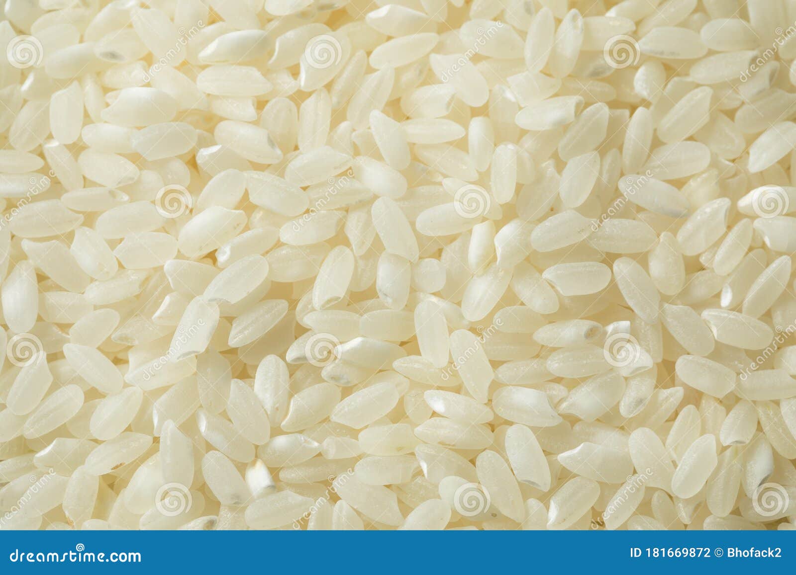 Raw Organic Dry White Rice stock photo. Image of organic - 181669872