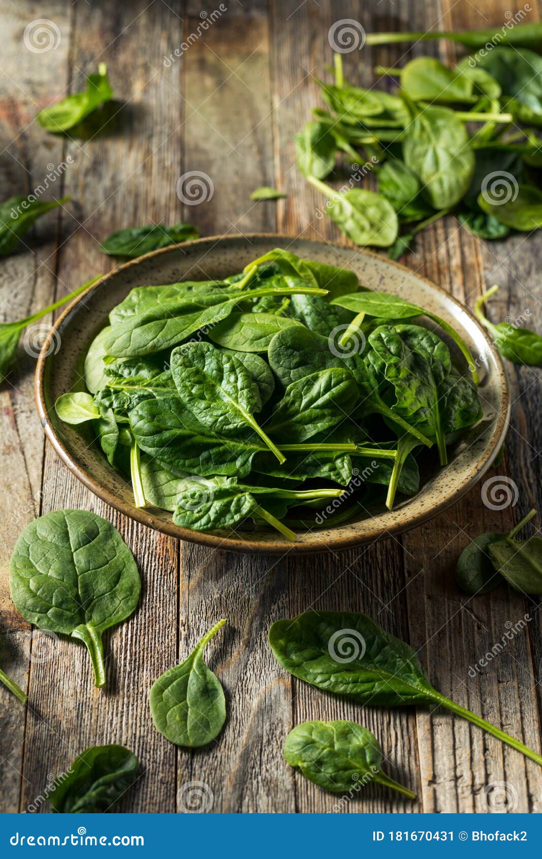 Raw Organic Fresh Baby Spinach Stock Image - Image of fresh, green ...