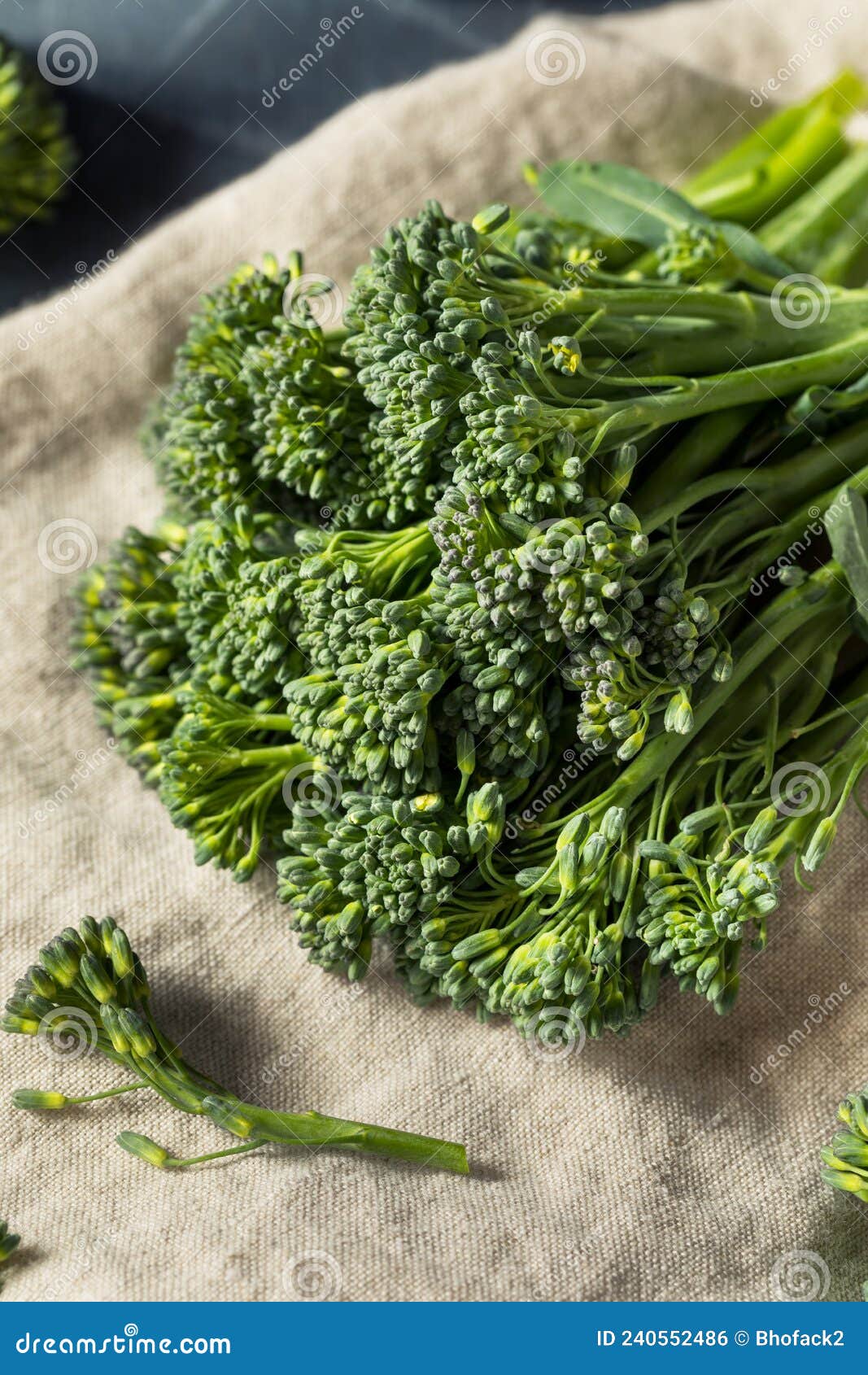 Raw Organic Fresh Broccolini Vegetable Stock Photo - Image of ...