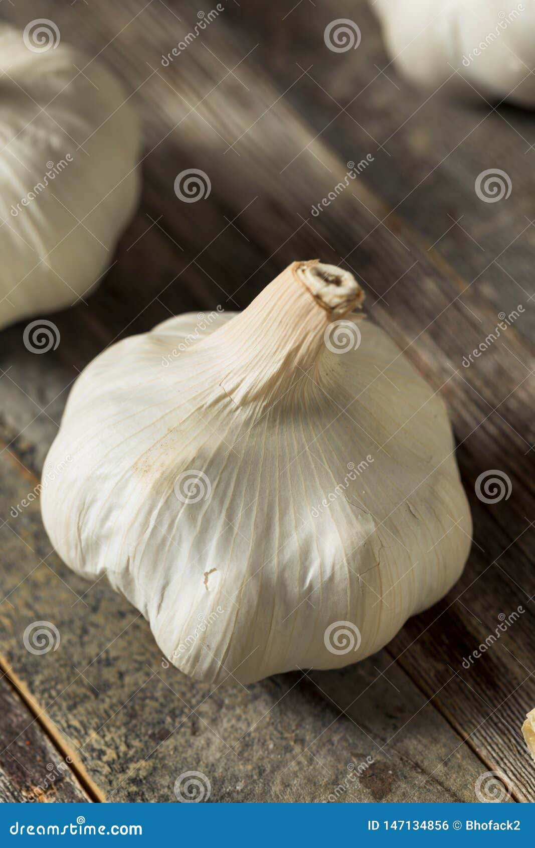 Raw Organic Garlic Bulbs stock photo. Image of flavoring - 147134856
