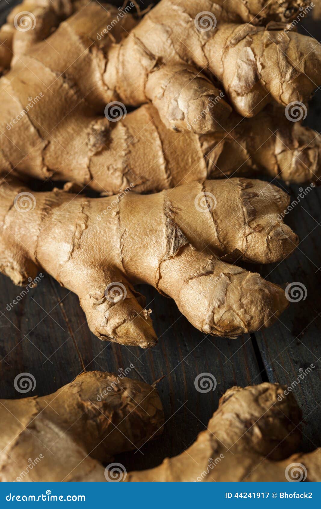 Raw Organic Ginger Root stock image. Image of root, plant - 44241917