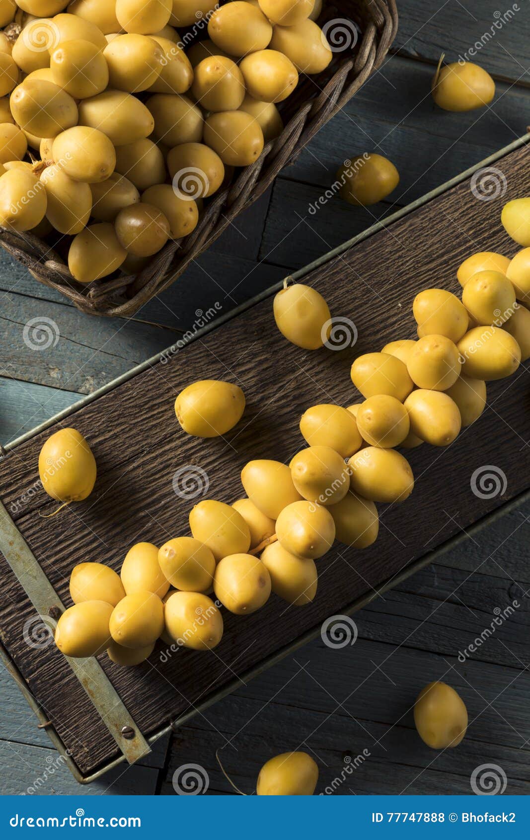 Raw Organic Golden Fresh Young Dates Stock Photo - Image of brown ...