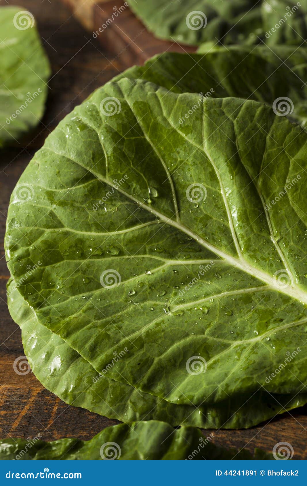 Raw Organic Green Collard Greens Stock Image - Image of cabbage, bunch ...