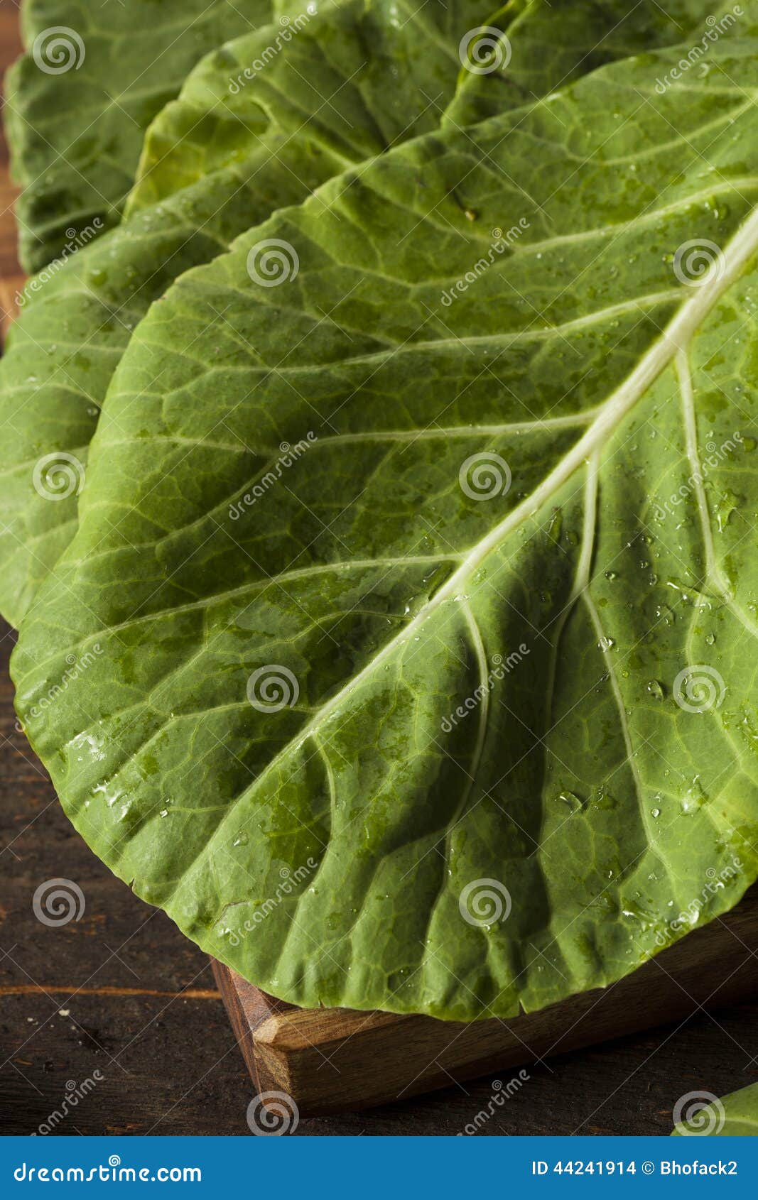Raw Organic Green Collard Greens Stock Photo - Image of organic, leaf ...
