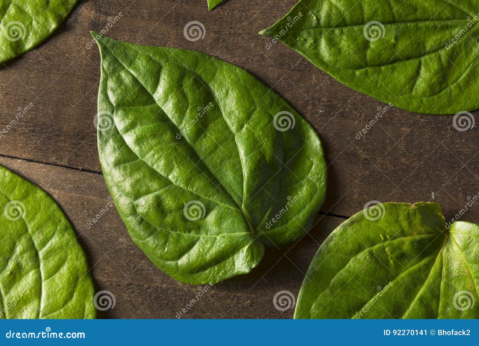 Raw Organic Green Pan Leaves Stock Image - Image of leaves, betel: 92270141